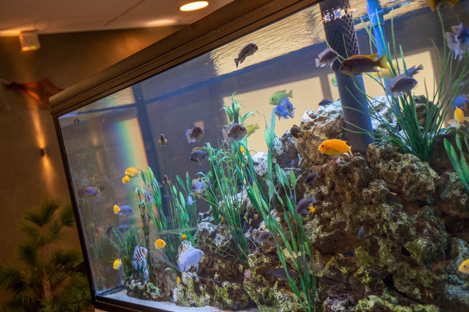 Gavekort » Esbjerg Wellness